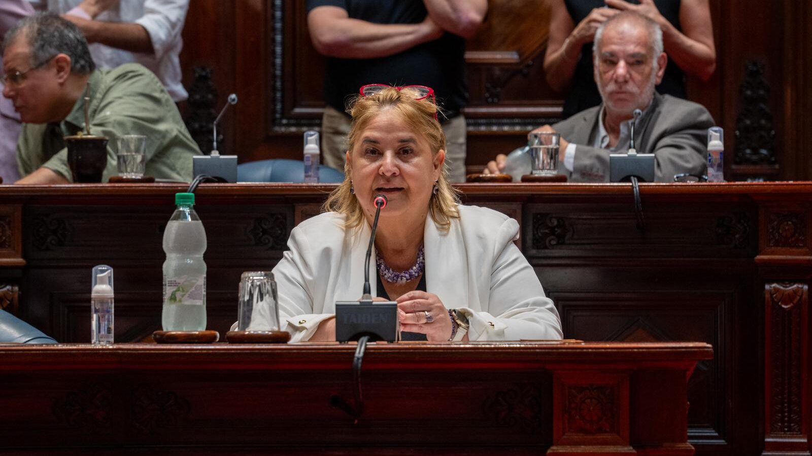 Sandra Lazo en el Senado: "El Estado hizo exactamente lo que estaba ...
